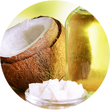 Bio Tanix Repair Mask - Prime Pro Extreme