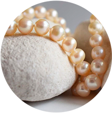 Bio Tanix Repair Mask - Prime Pro Extreme